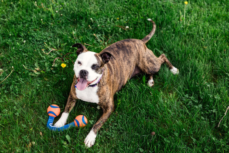 Experience | Emma Mullins Photography